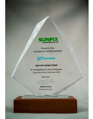 SUNFIX Consulting provides in-depth business, product