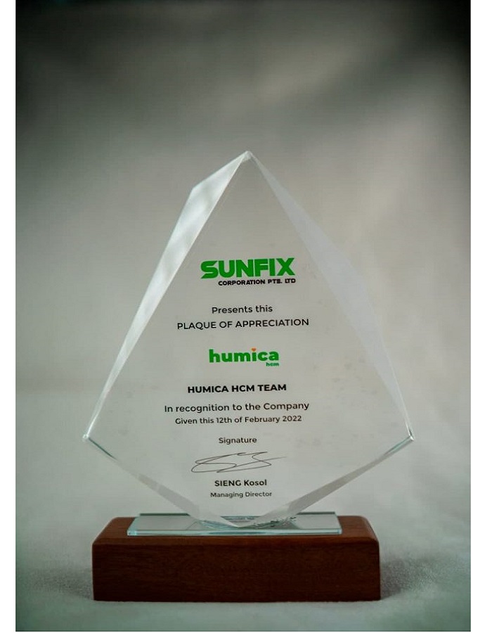 SUNFIX Consulting provides in-depth business, product