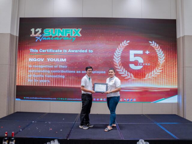 SUNFIX Consulting provides in-depth business, product